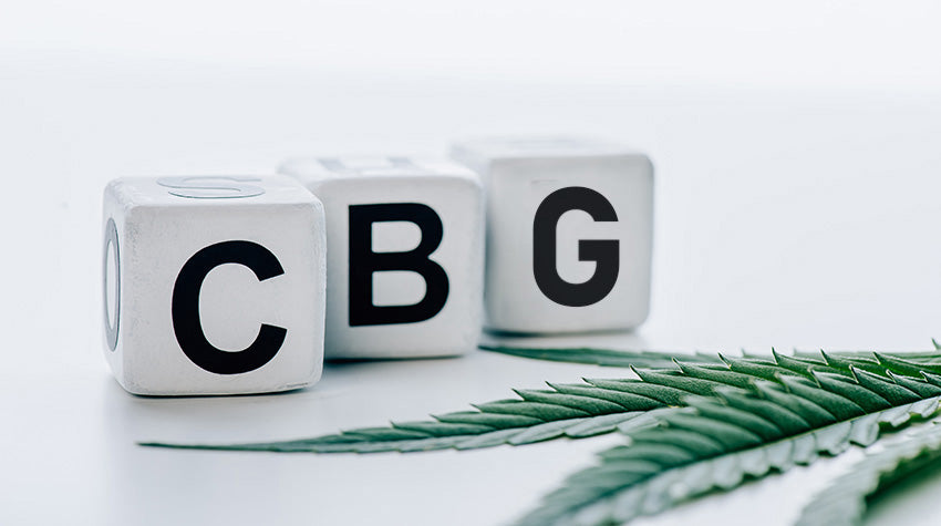 What Is CBG? A Guide To Its Uses, Benefits & Where To Buy Online ...